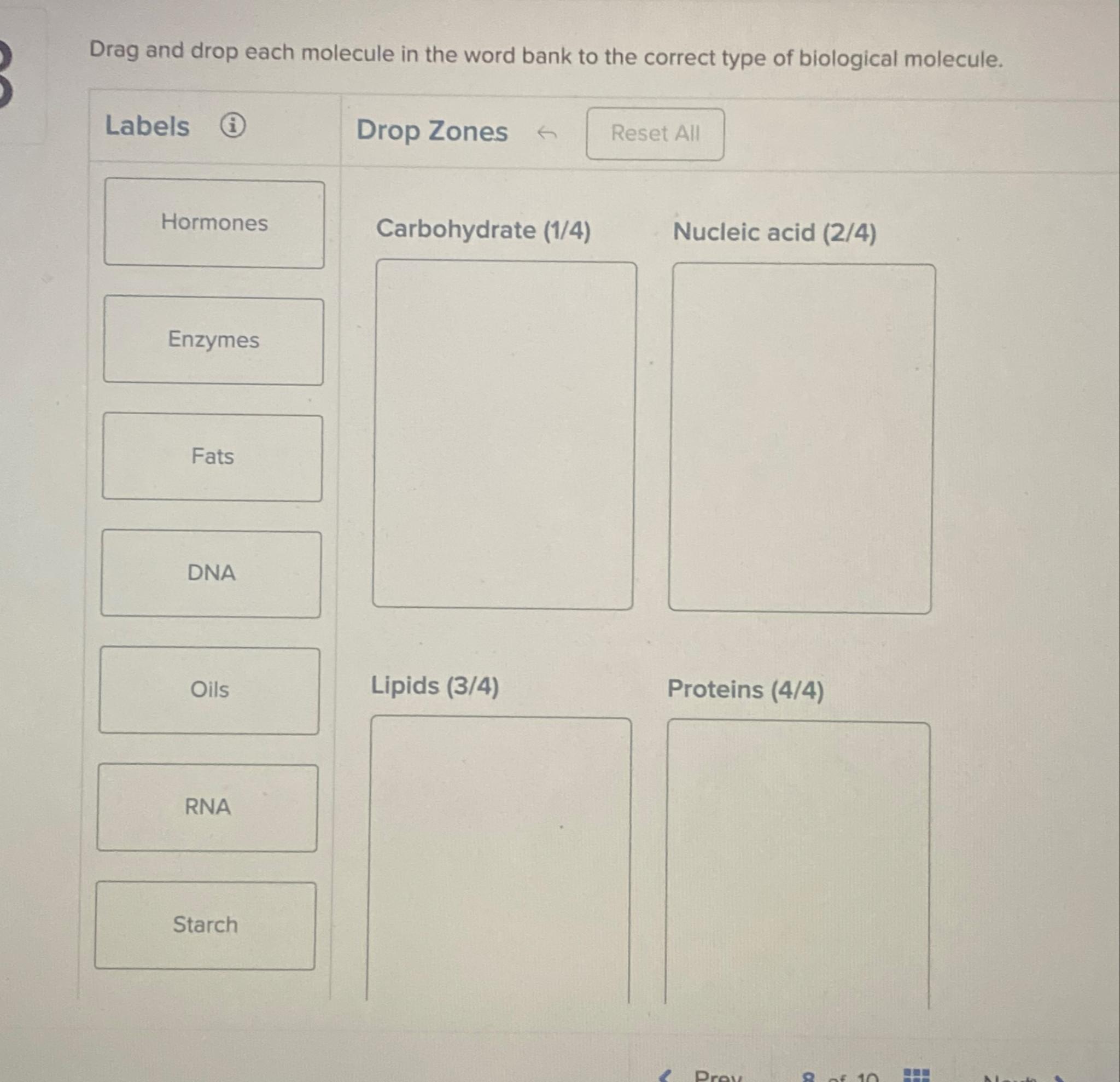 Solved Drag and drop each molecule in the word bank to the | Chegg.com