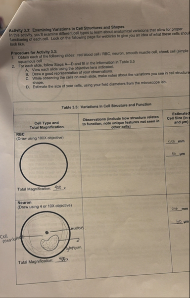 Solved Activity 3.3: Examining Variations in Cell Structures | Chegg.com
