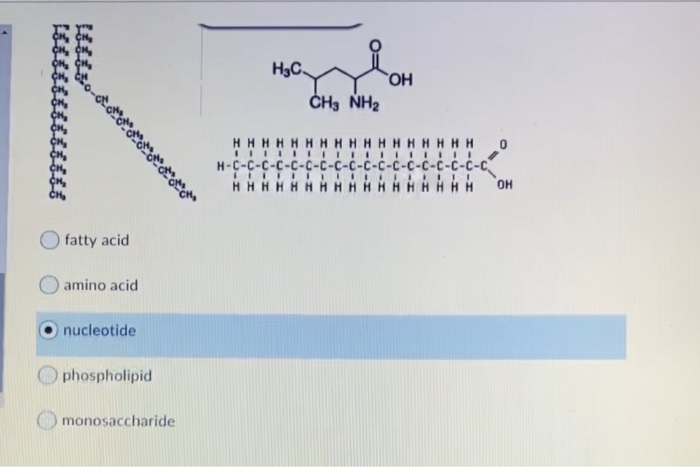 Solved The molecular structures shown below are | Chegg.com