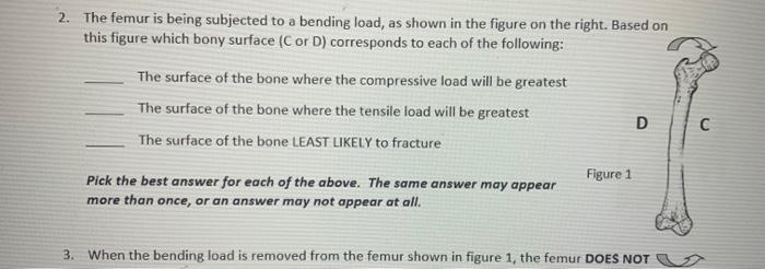 2. The femur is being subjected to a bending load, as | Chegg.com