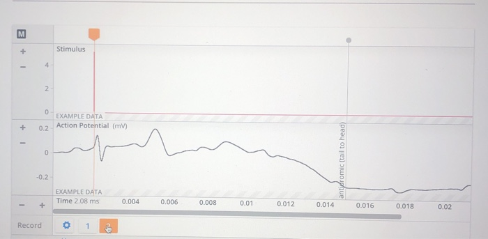 Solved If this is the experiment of the Bidirectionality in | Chegg.com