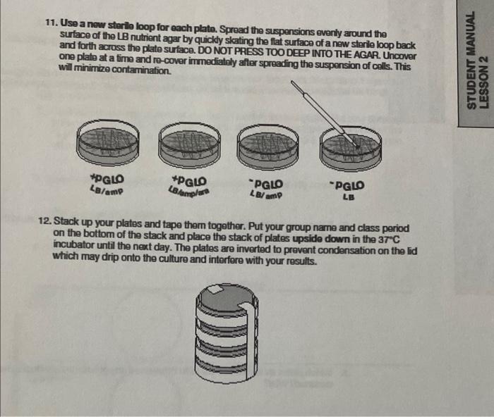 1. Explain the purpose of the 4 agar plates plated | Chegg.com