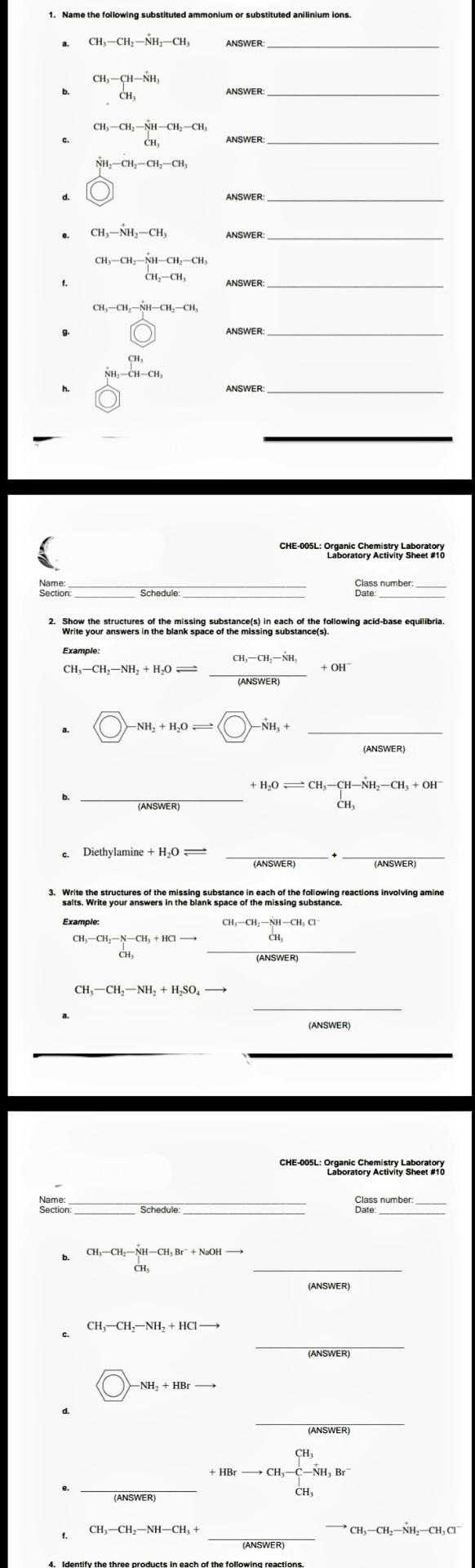 Solved 1. Name the following substituted ammonium or | Chegg.com