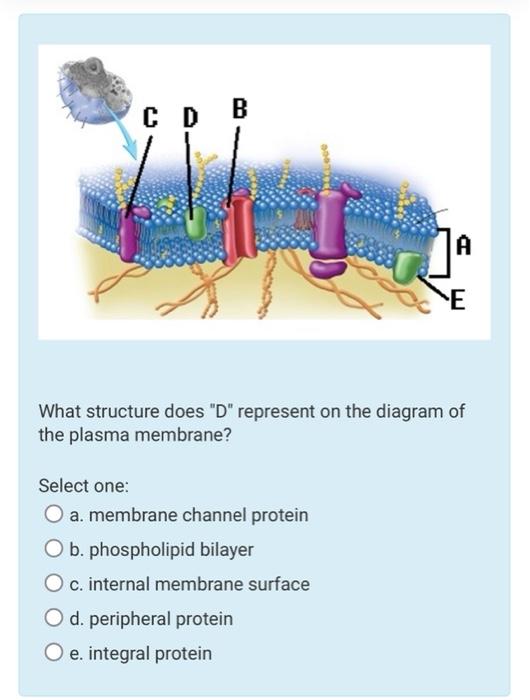 Solved Two Solutions A And B Have The Same Osmolality