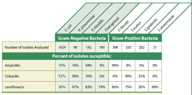 USING THE THREE DRUGS FROM THE CHARTa) ﻿Your patient | Chegg.com