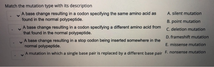 Solved Match the mutation type with its description A base | Chegg.com