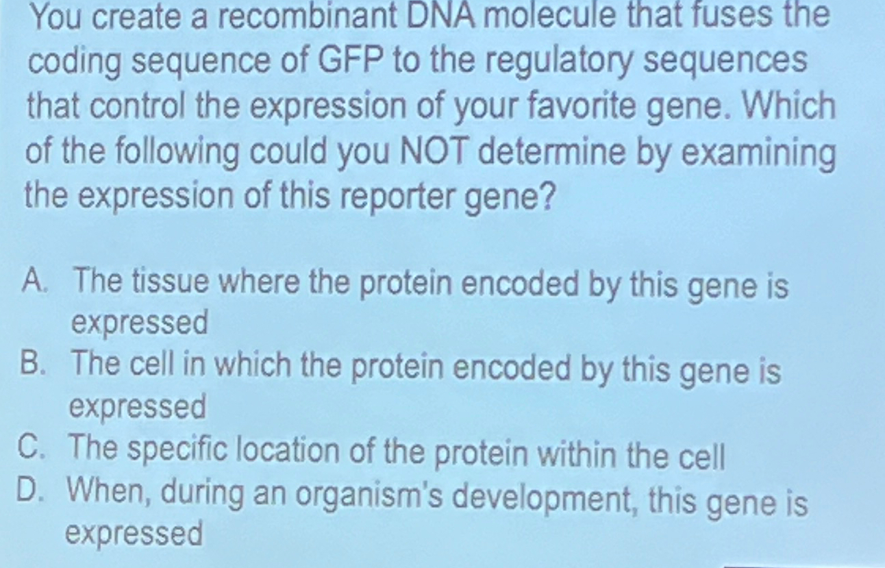 Solved You create a recombinant DNA molecule that fuses the | Chegg.com