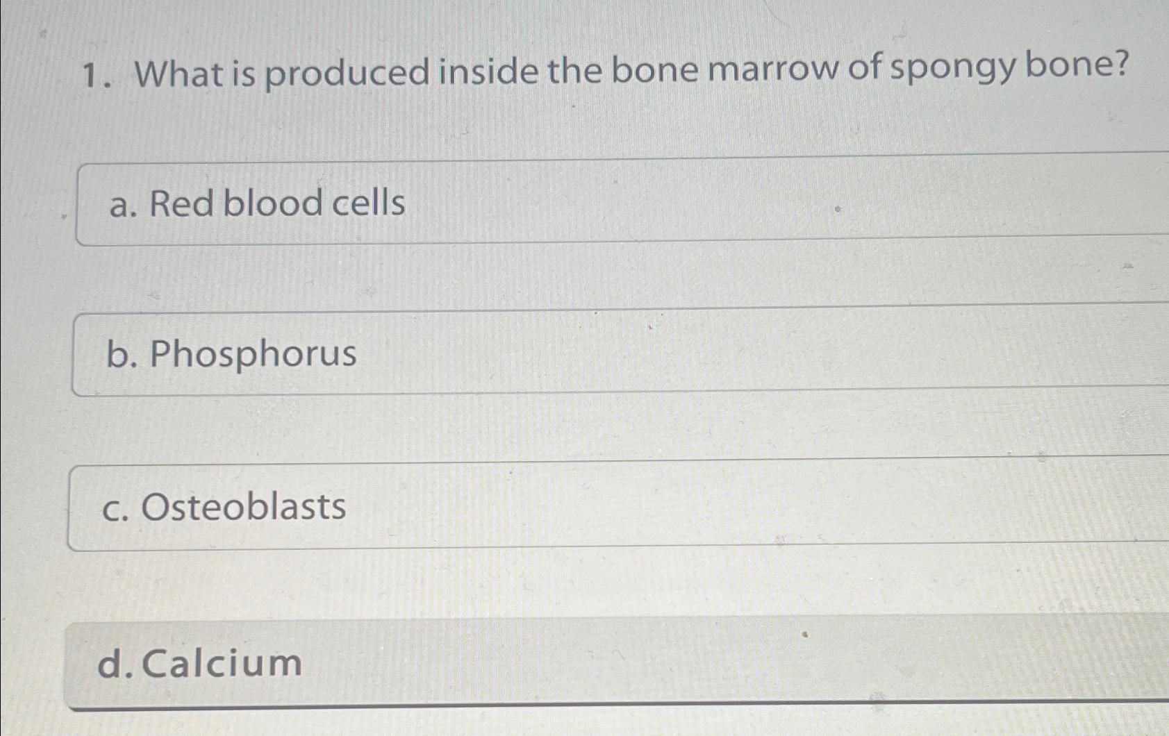 Solved What is produced inside the bone marrow of spongy | Chegg.com