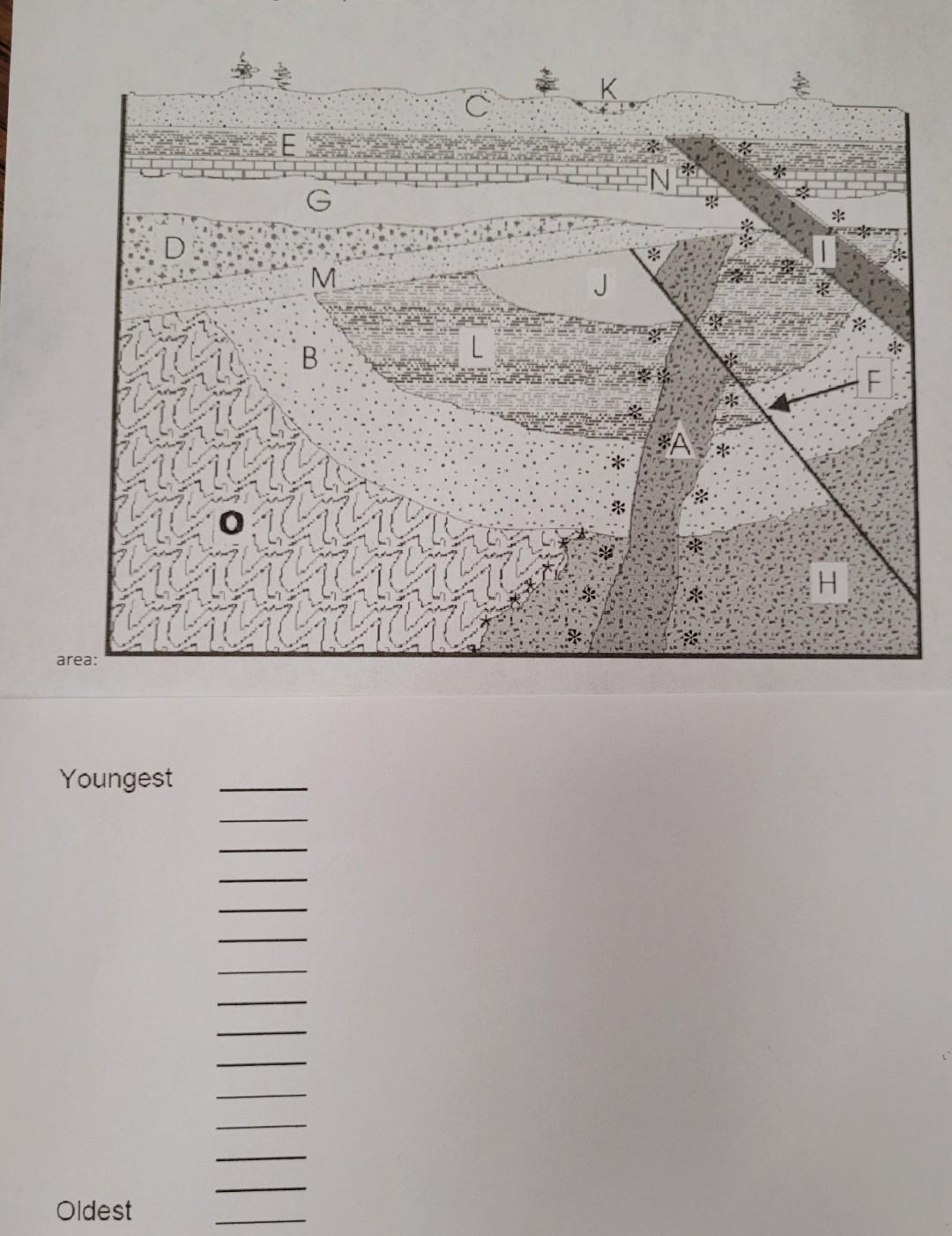 Solved Youngest Oldest | Chegg.com