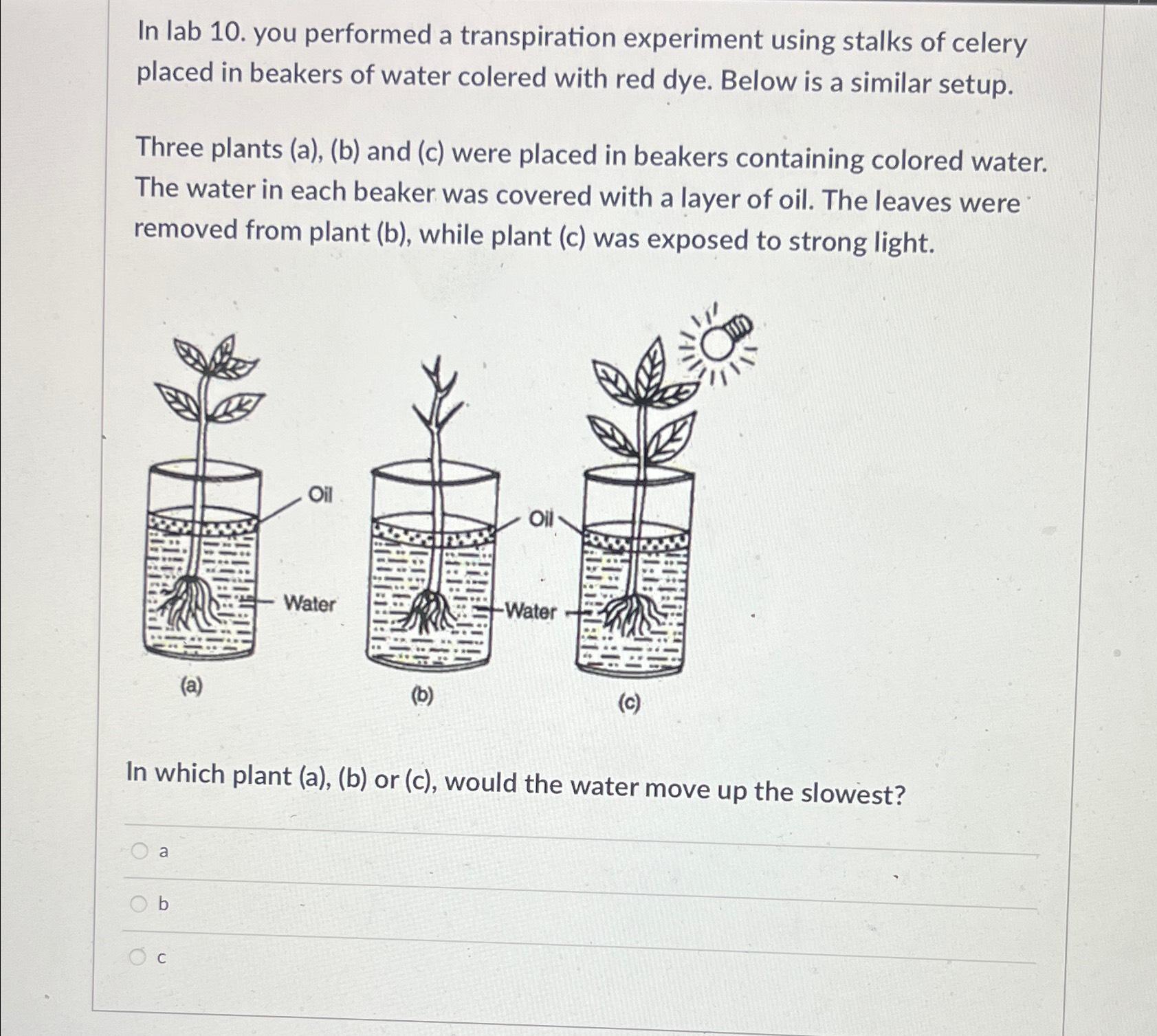 Solved In lab 10. ﻿you performed a transpiration experiment | Chegg.com