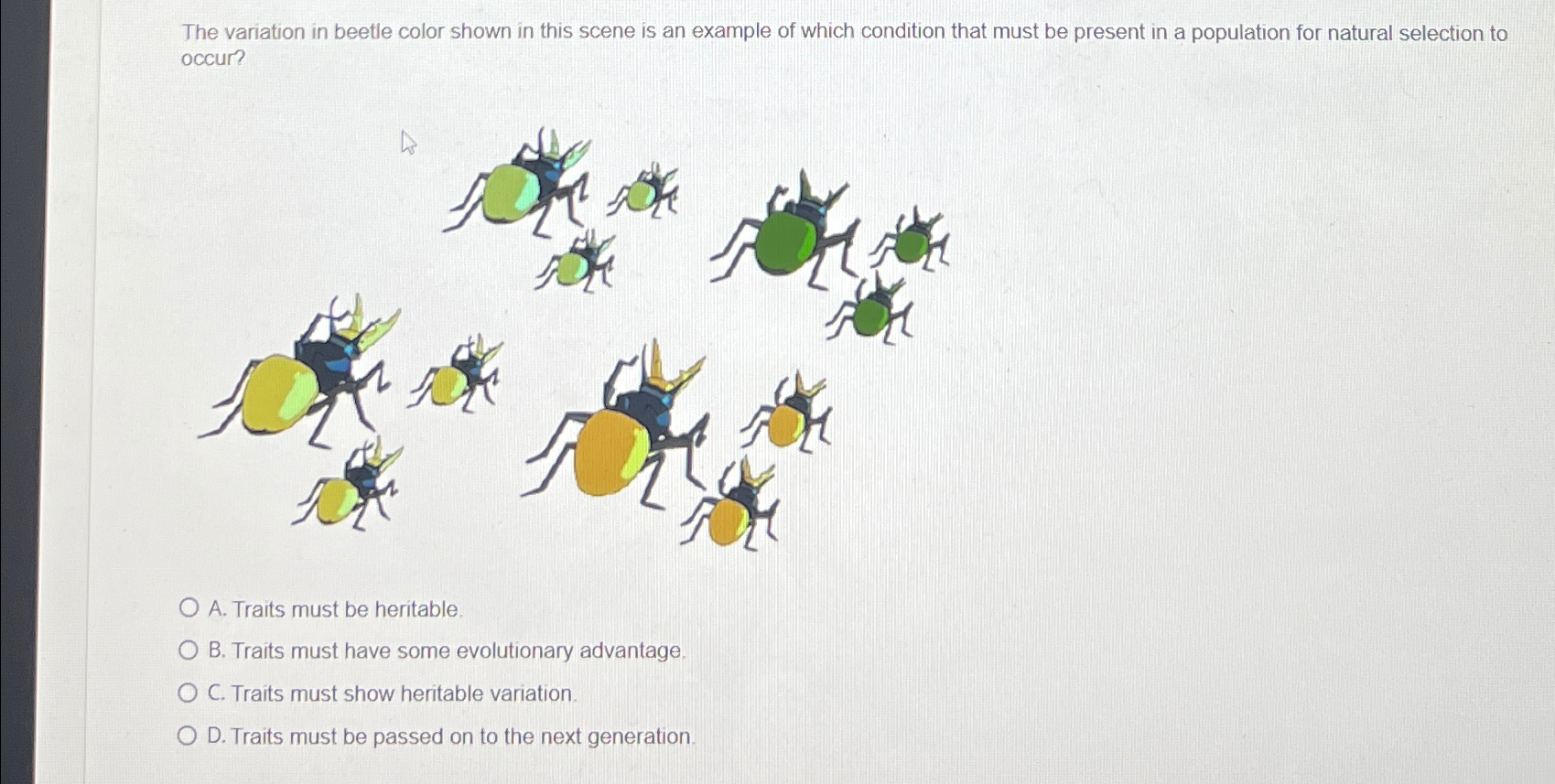 Solved The variation in beetle color shown in this scene is | Chegg.com