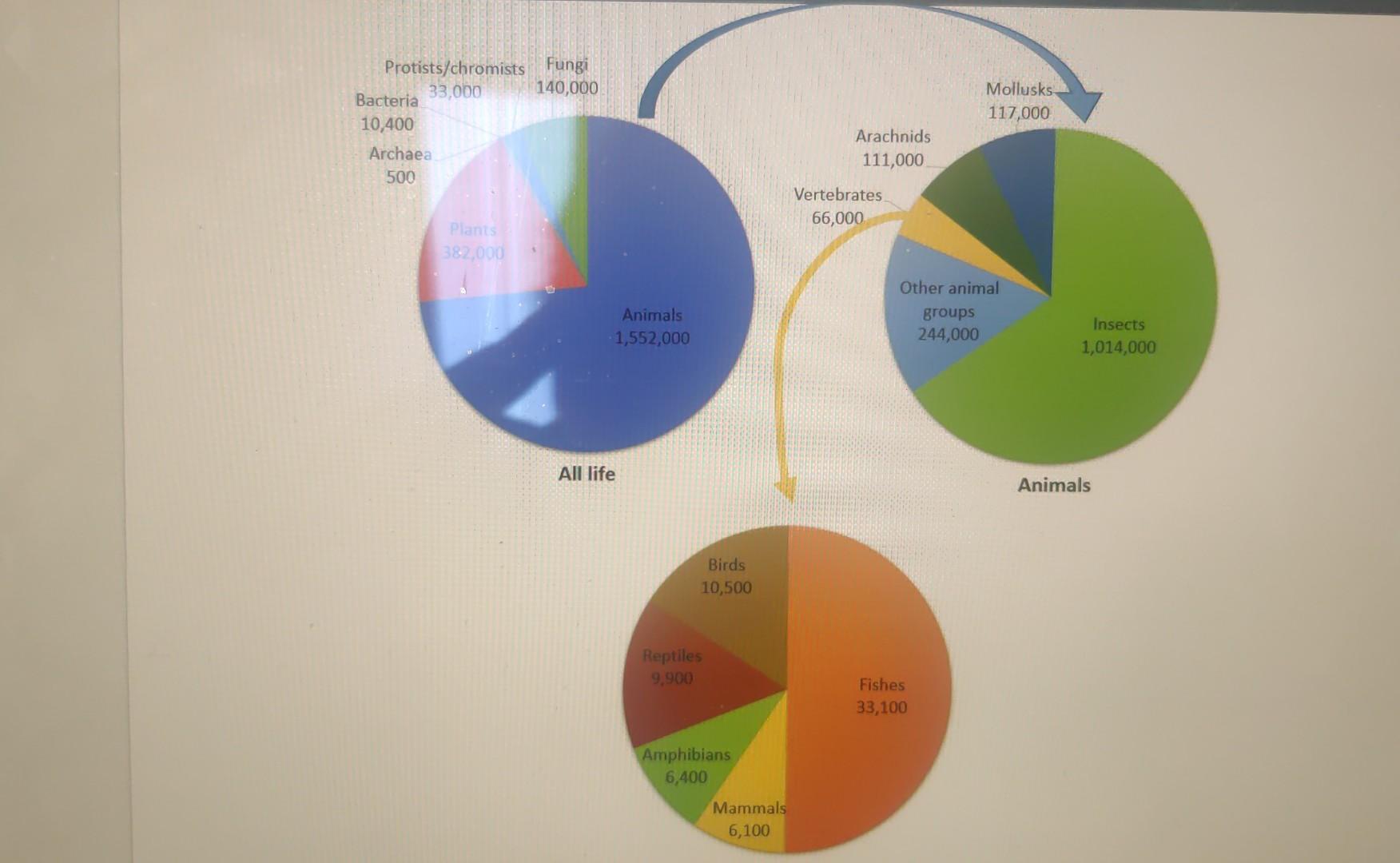 Solved Section C: Reading and understanding data in graphs | Chegg.com