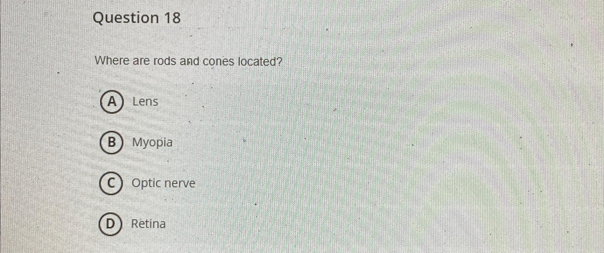 Solved Question 18Where are rods and cones located?(A) | Chegg.com