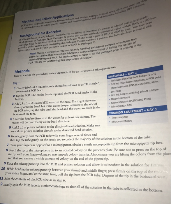 EXERCISE 17 Polymerase Chain Reaction (PCR) and DNA | Chegg.com