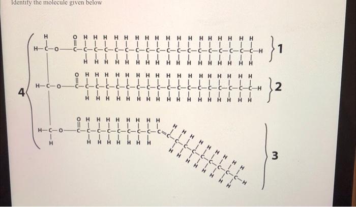 Solved Identify the molecule given below | Chegg.com