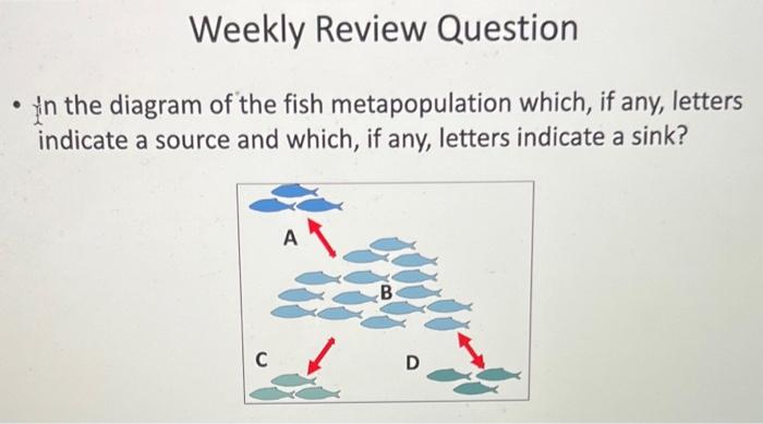Solved Weekly Review Question - In the diagram of the fish | Chegg.com