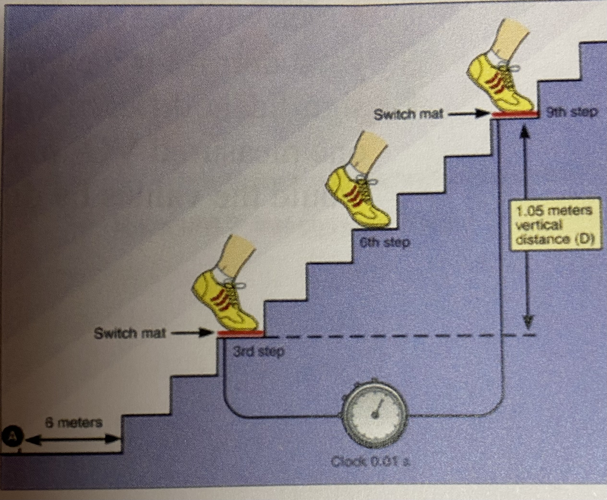 Solved The picture shows a stair running test. What energy | Chegg.com