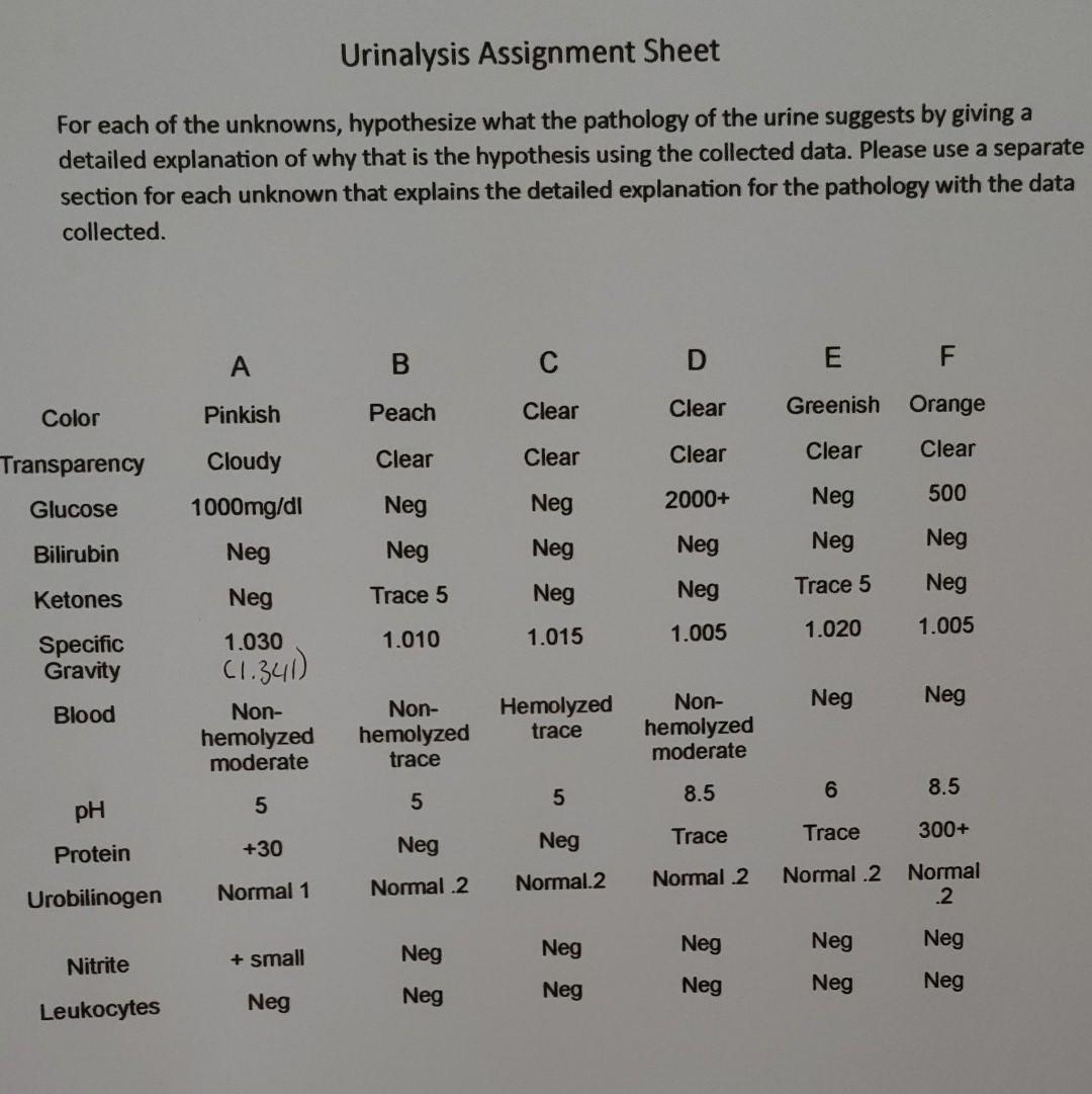 Urinalysis Assignment Sheet For each of the unknowns, | Chegg.com