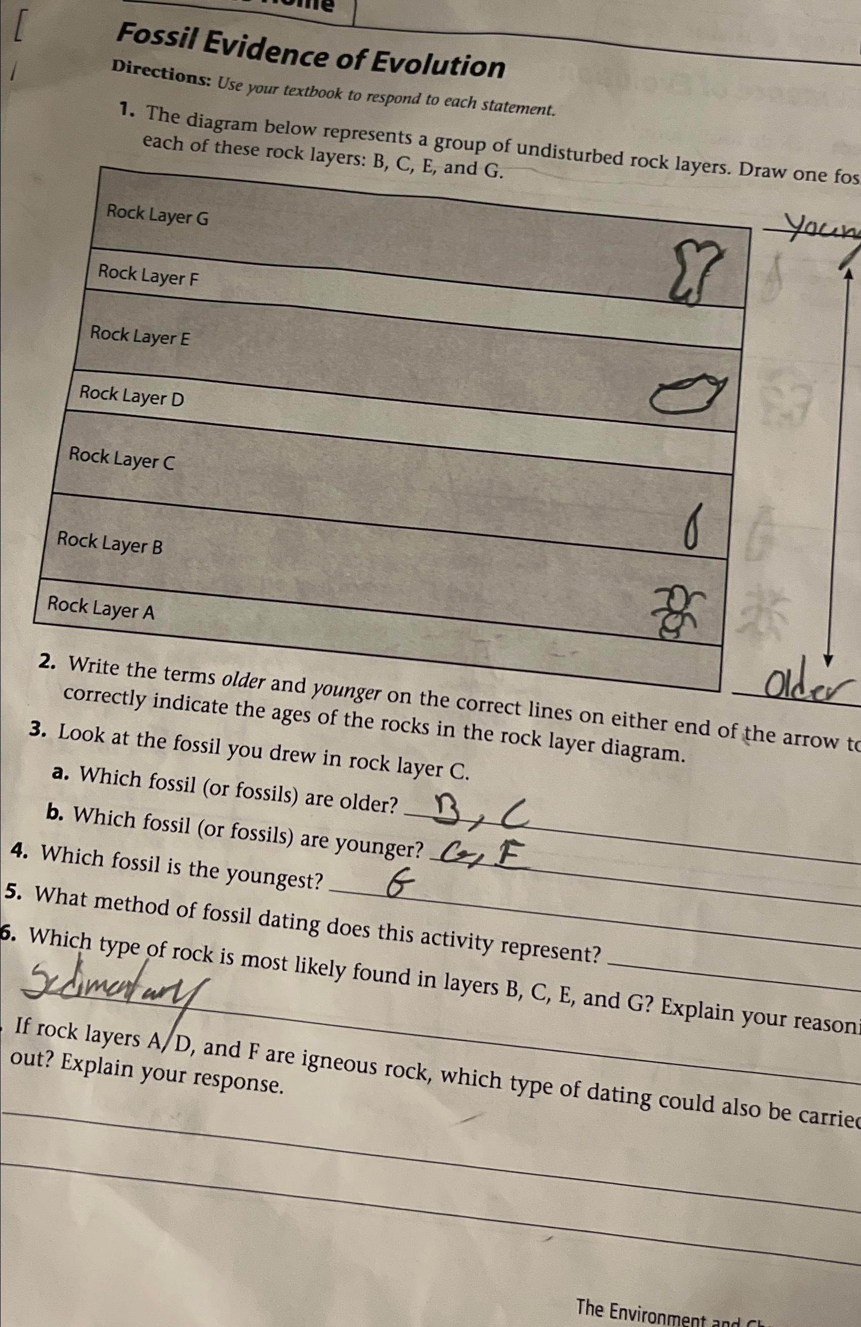 Solved Fossil Evidence of EvolutionDirections: Use your | Chegg.com