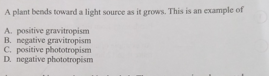 Solved A plant bends toward a light source as it grows. This | Chegg.com