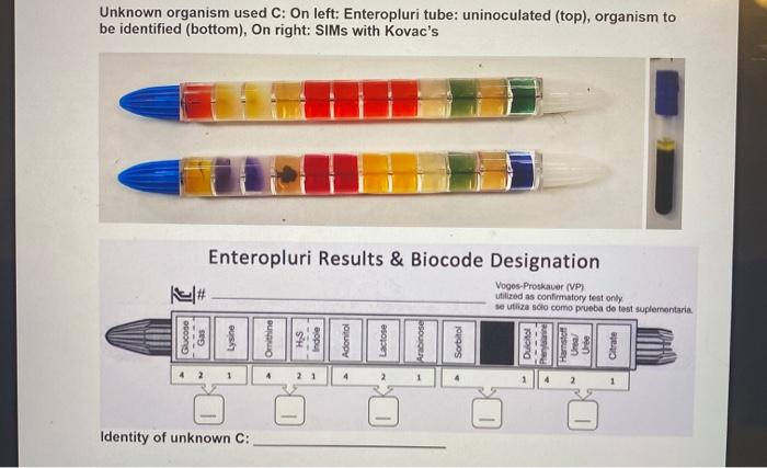 Solved Interpret the color images, complete the Entropluri | Chegg.com