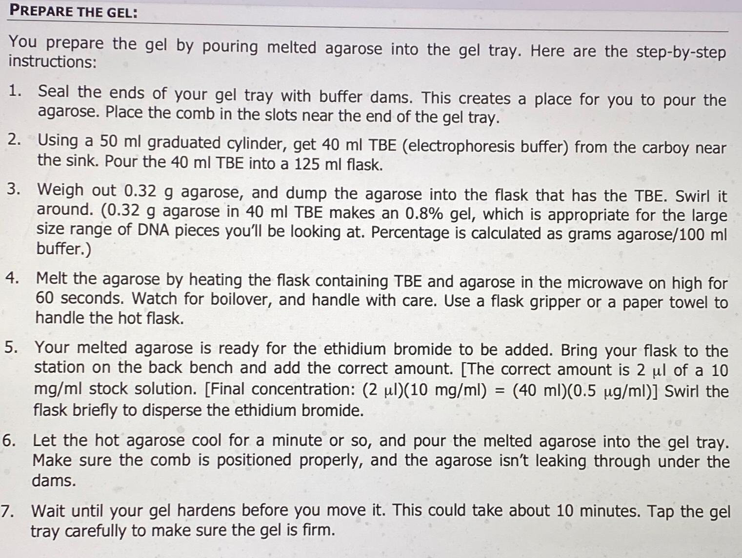 Solved PREPARE THE GEL:You prepare the gel by pouring melted | Chegg.com