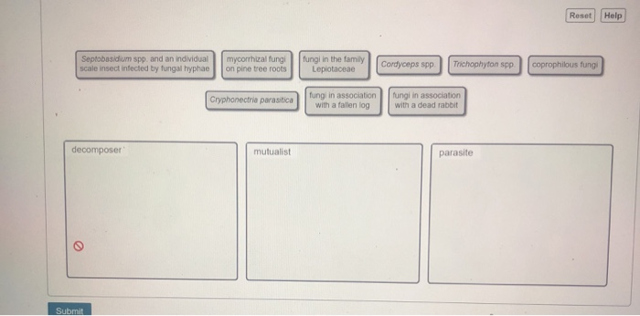 Solved Reset Help Septobasidium spp. and an individual scale | Chegg.com