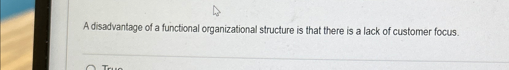 Solved A disadvantage of a functional organizational | Chegg.com