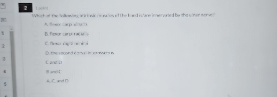 Solved 21 ﻿pointWhich of the following intrinsic muscles of | Chegg.com