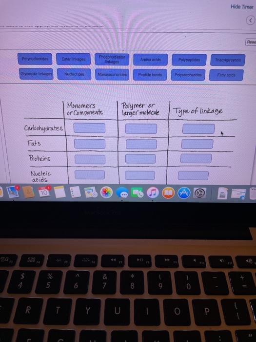 Solved Hide Timer Read Polynucleotide Esterinkages | Chegg.com