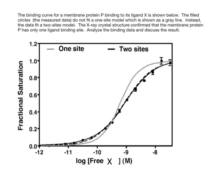 Solved The binding curve for a membrane protein P binding to | Chegg.com