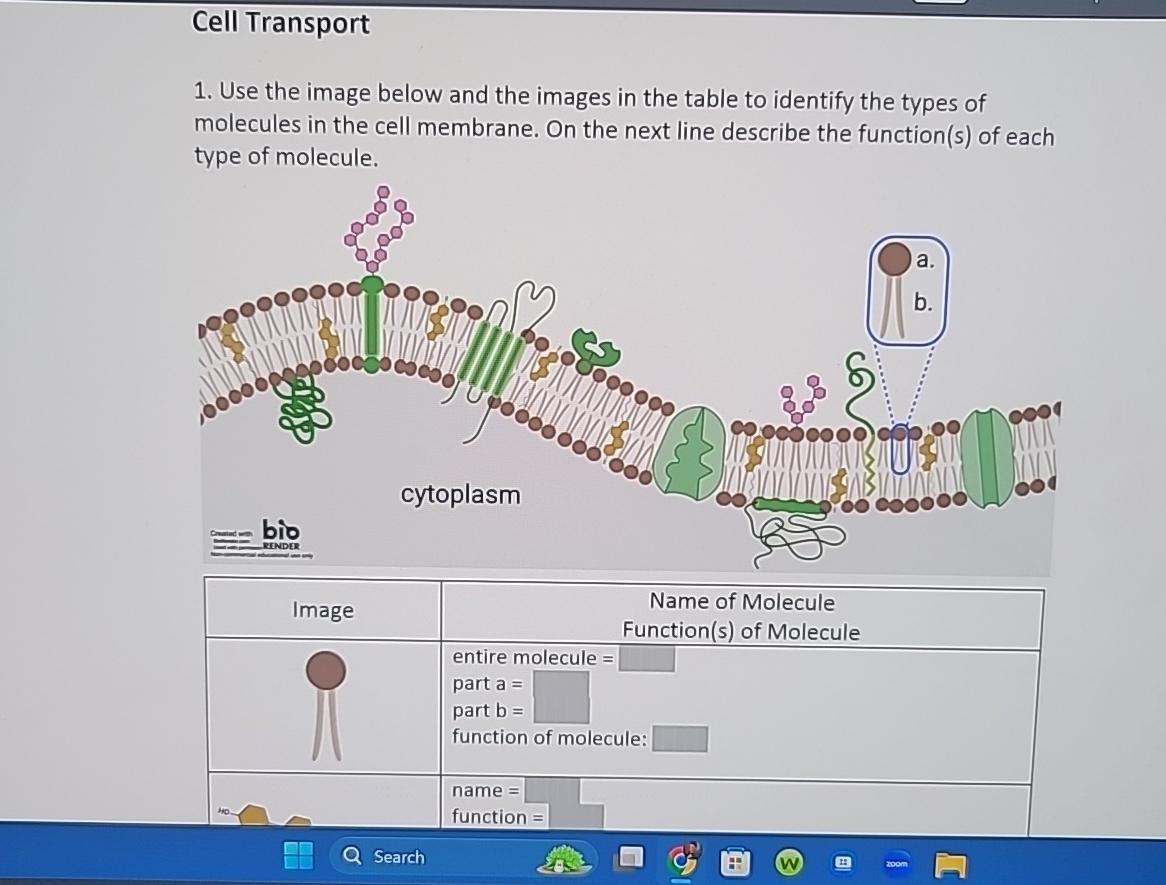 Solved Cell TransportUse the image below and the images in | Chegg.com