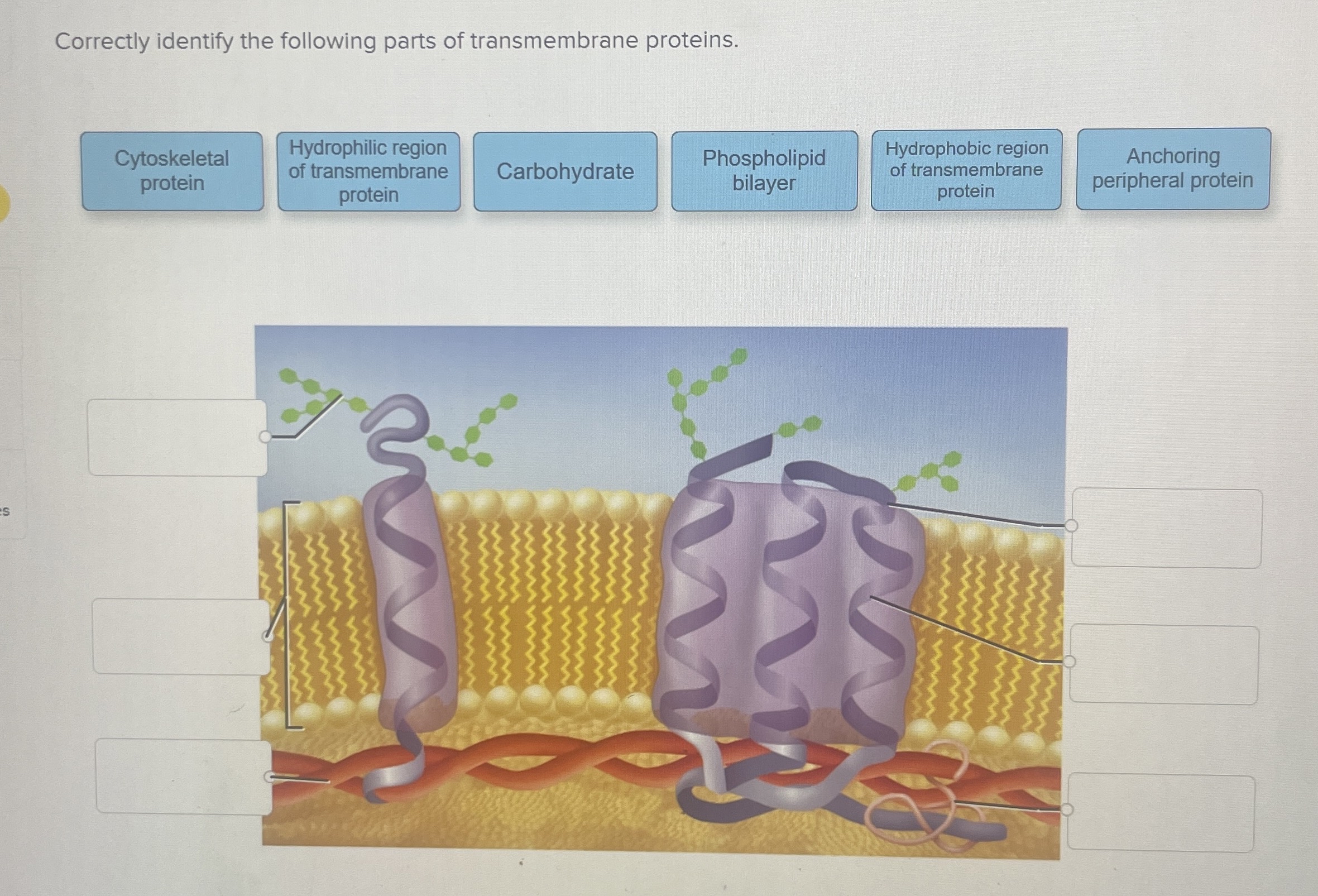 Solved Correctly identify the following parts of | Chegg.com