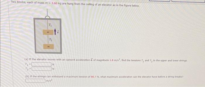 Solved Two blocks, each of mass m=3.60 kg are hung from the | Chegg.com