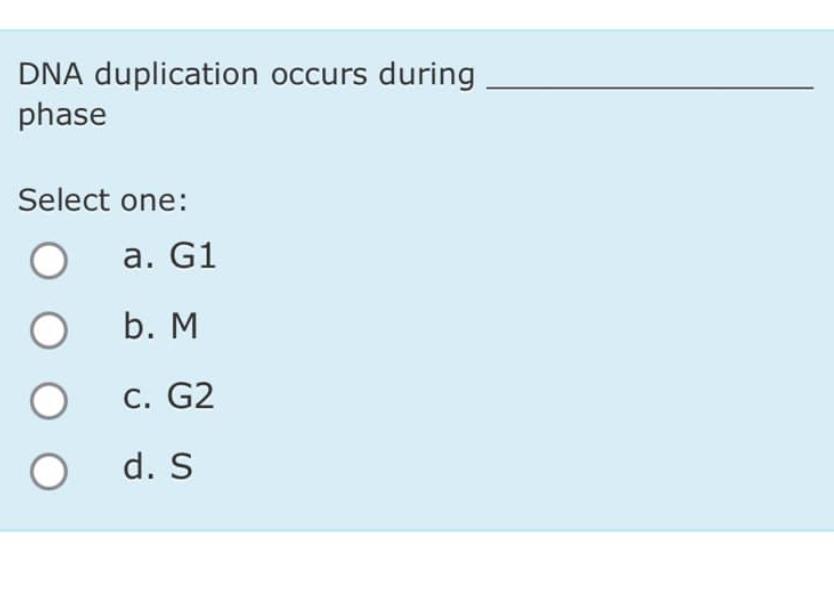 Solved DNA duplication occurs during phaseSelect one:a. | Chegg.com