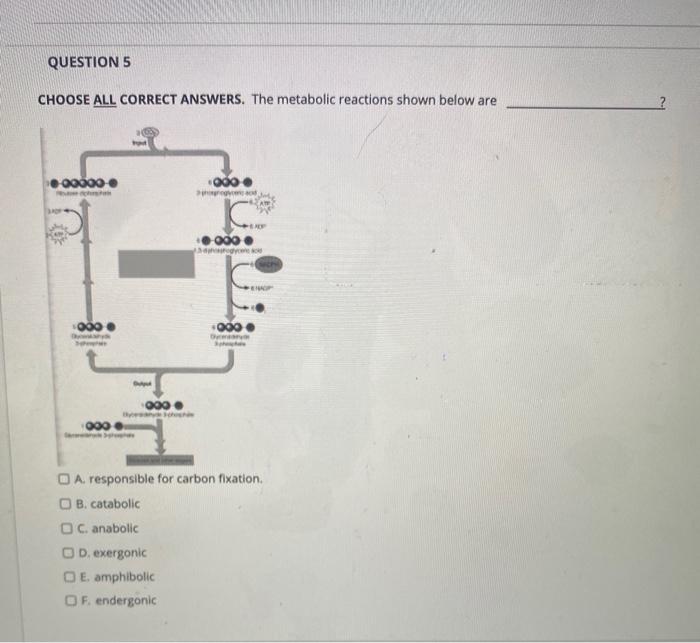 Solved QUESTION 5 CHOOSE ALL CORRECT ANSWERS. The metabolic | Chegg.com