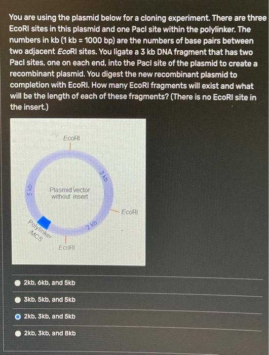 Solved You are using the plasmid below for a cloning | Chegg.com