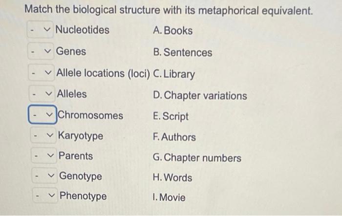 Solved Match the biological structure with its metaphorical | Chegg.com