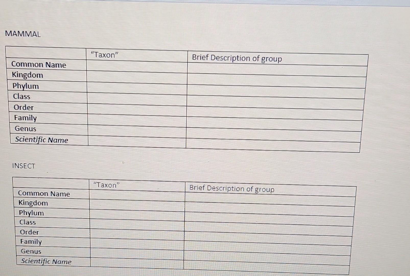 Solved EXAMPLE: MAMMAL INSECT BIRD REPTILE | Chegg.com