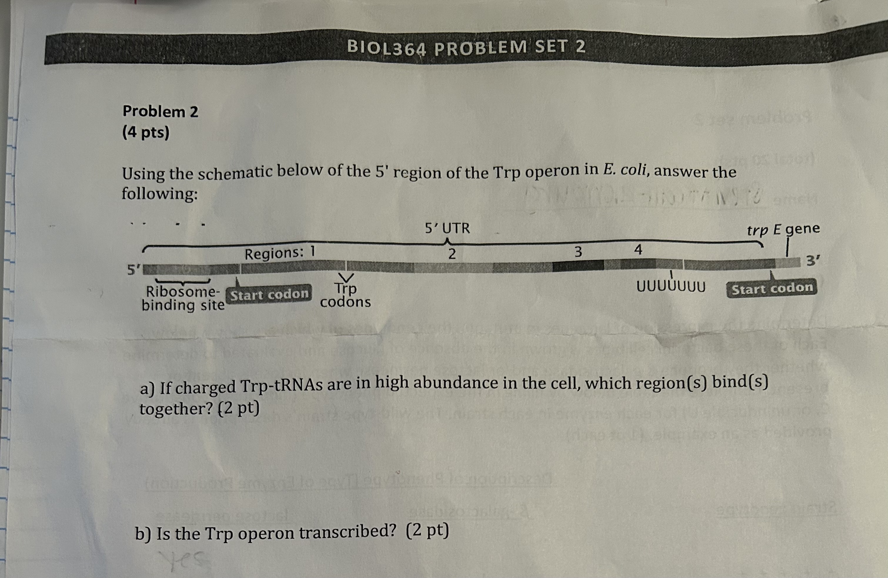 Solved Problem 2(4 ﻿pts)Using the schematic below of the 5 ' | Chegg.com