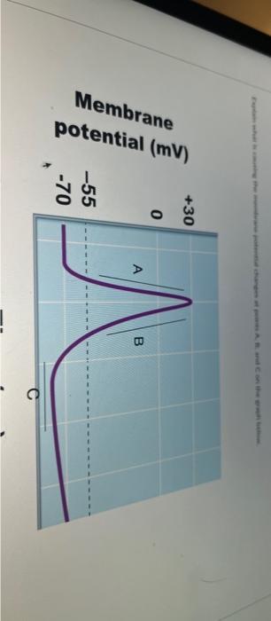 Solved Explain what is causing the membrane potential | Chegg.com