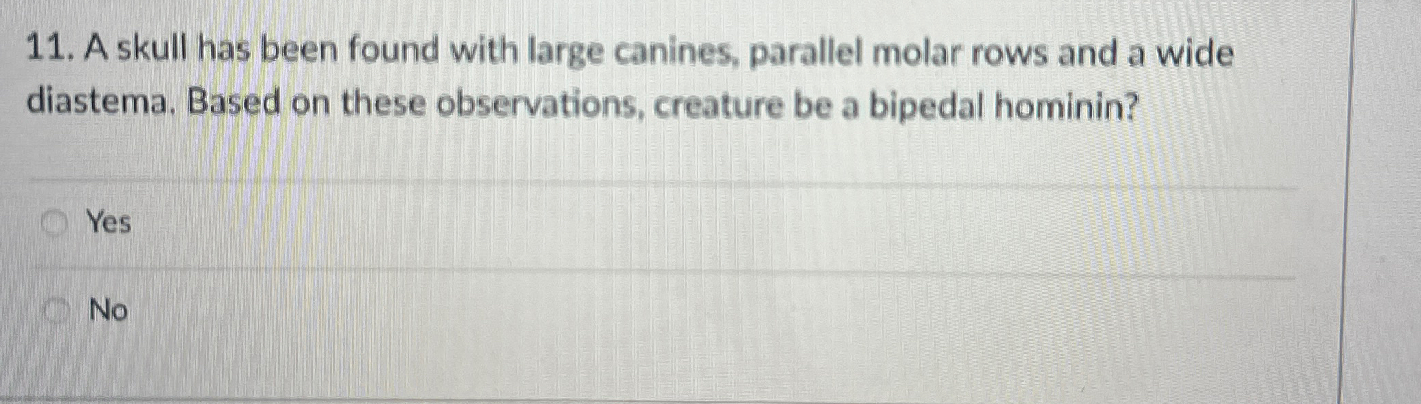 Solved A skull has been found with large canines, parallel | Chegg.com
