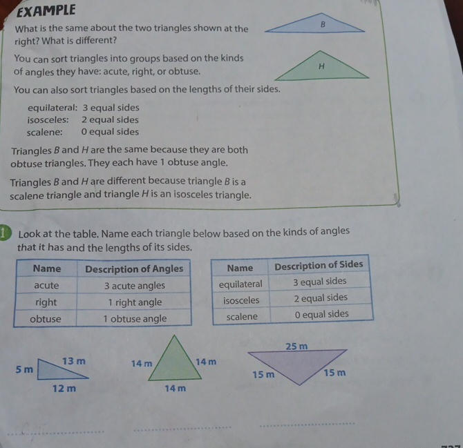 Solved EXAMPLEWhat is the same about the two triangles shown | Chegg.com