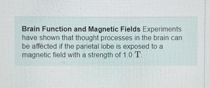Solved Brain Function and Magnetic Fields Experiments have | Chegg.com