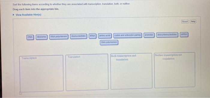 Solved Sort the following items according to whether they | Chegg.com