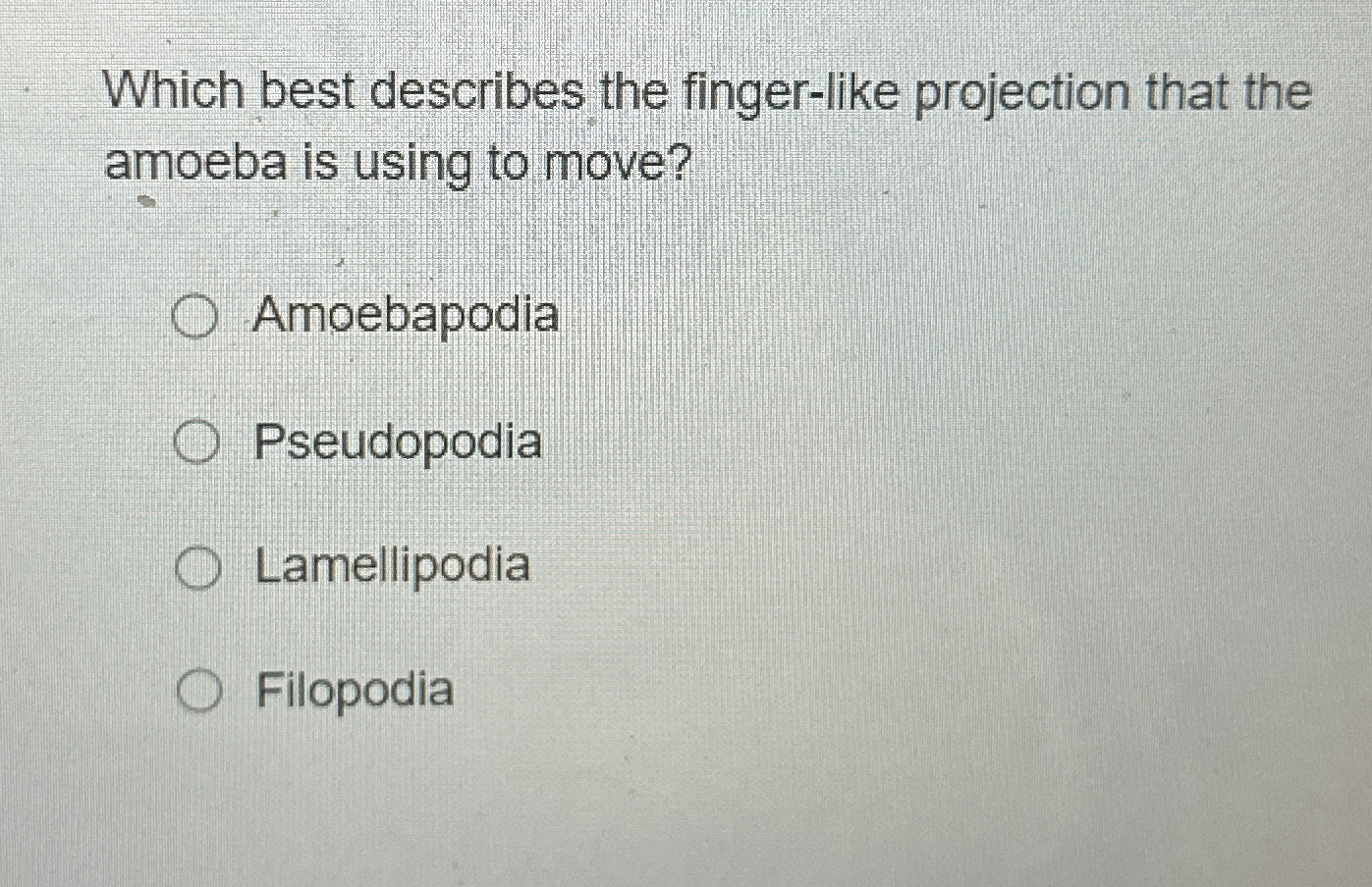 Solved Which best describes the finger-like projection that | Chegg.com
