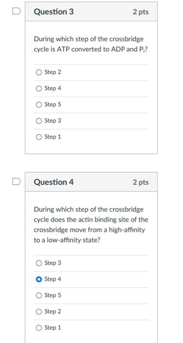 Solved During which step of the crossbridge cycle is ATP | Chegg.com