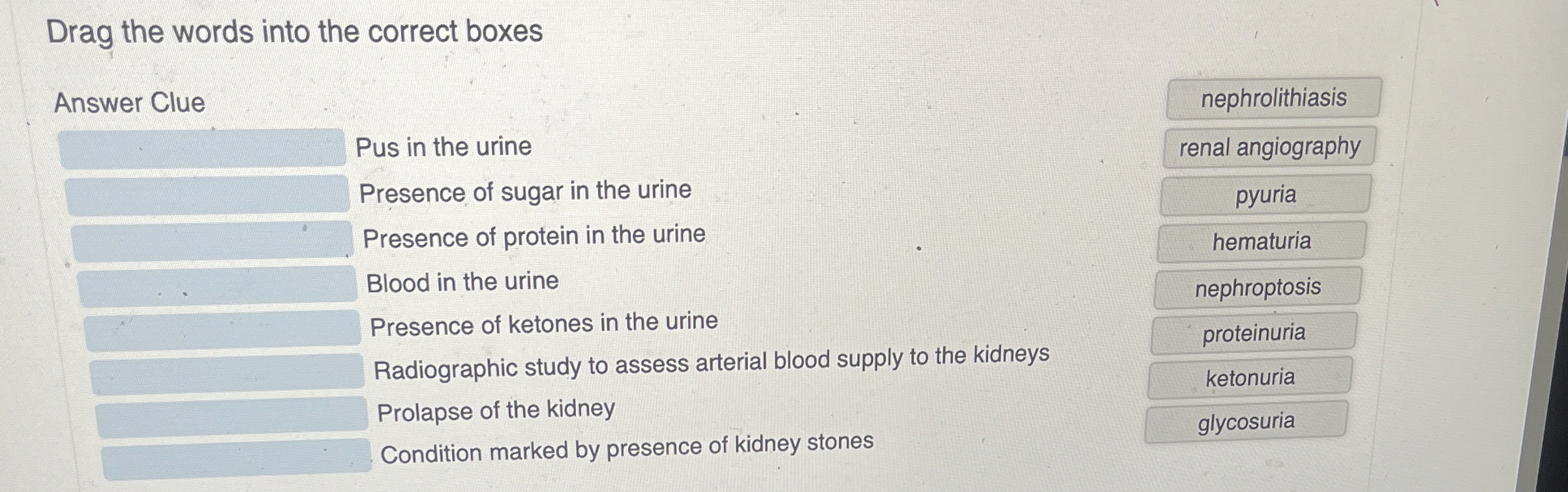 Solved Drag the words into the correct boxesAnswer | Chegg.com