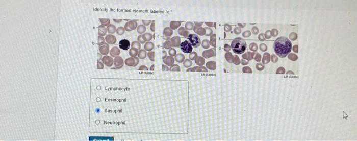 [Solved]: Identify the formed element labeled "c." b