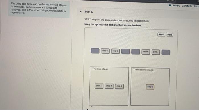 Solved Review Constants Peric The citric acid cycle can be | Chegg.com